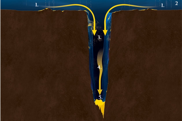 Volop leven in Marianentrog | wibnet.nl