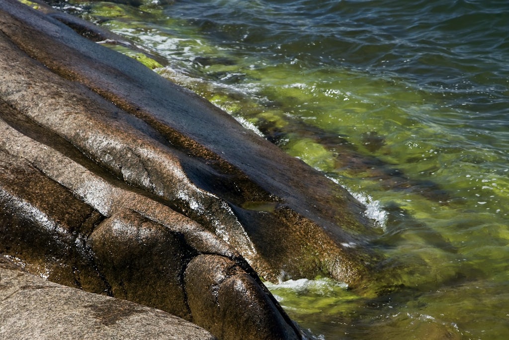 Syre: Vad är syre – och kan du få för mycket syre? | illvet.se