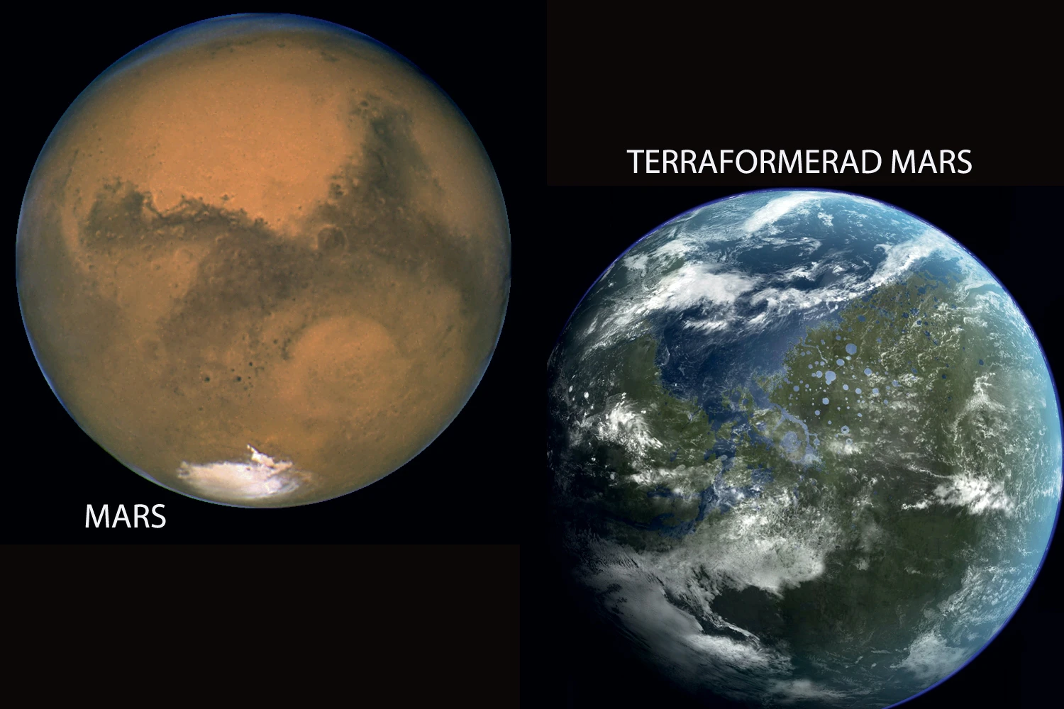 Mars | illvet.se