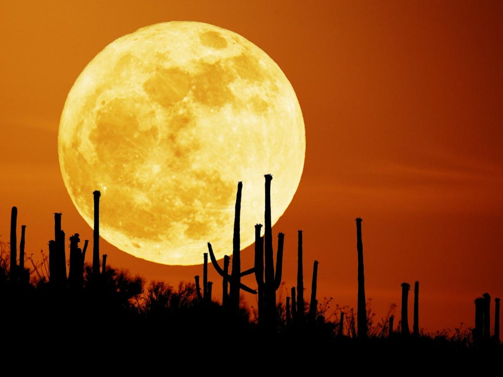 Kuu | Meidän kuumme | tieku.fi