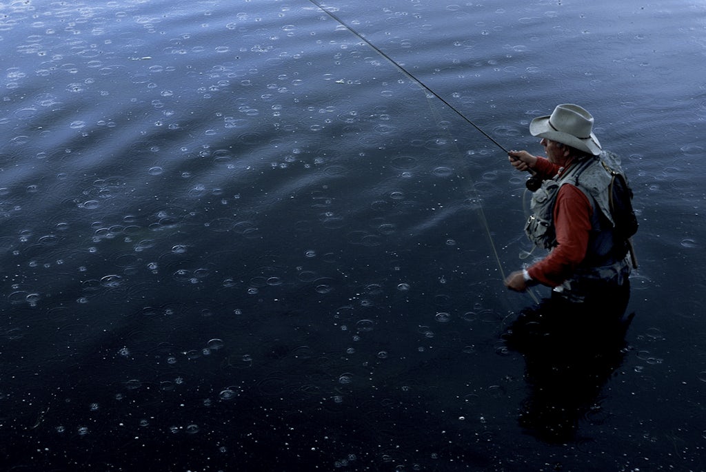 De grote pieterman: de giftigste vis van onze wateren | wibnet.nl