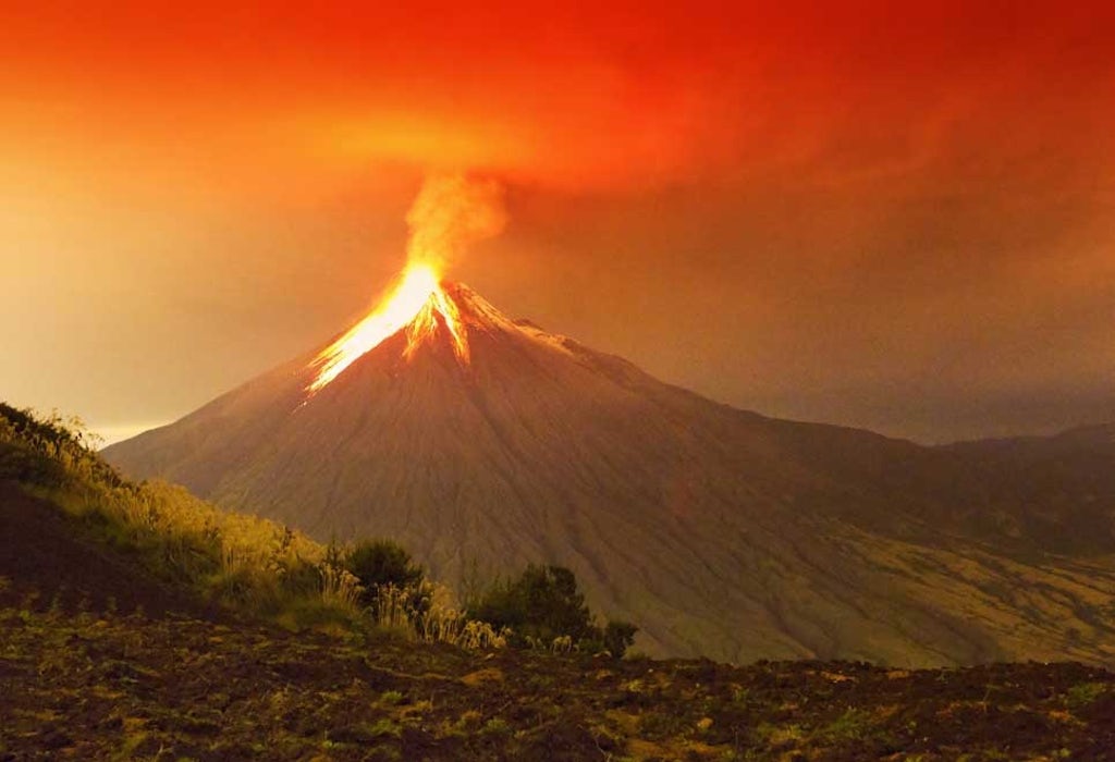 Hvad er De Fem Store? | illvid.dk