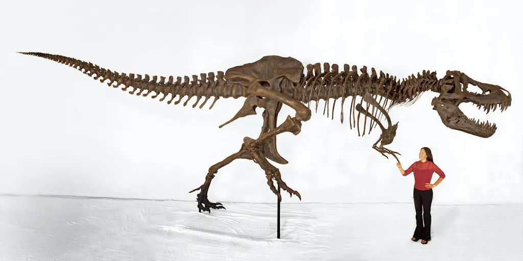 10 myter om T. rex | illvit.no