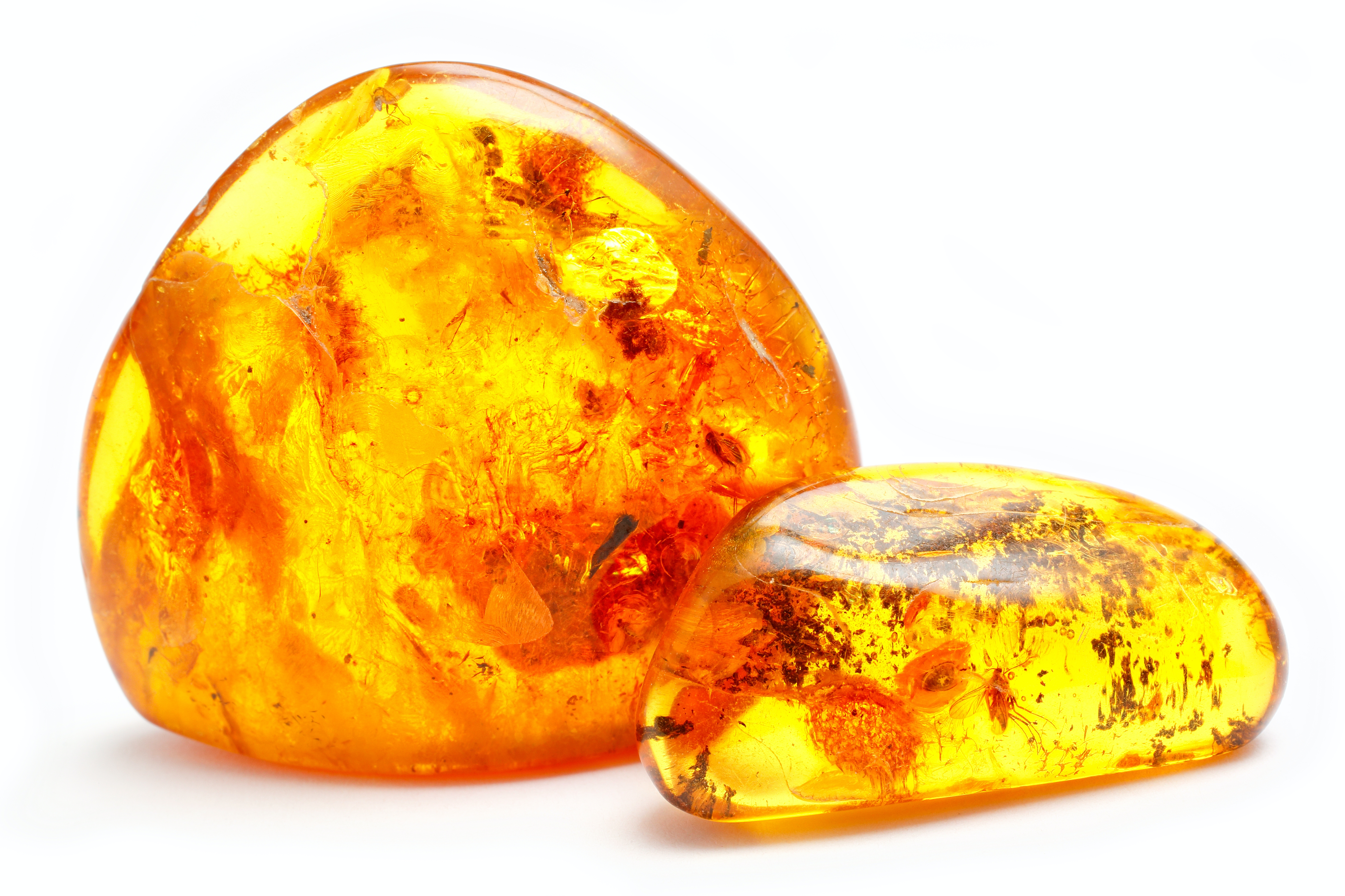 Rav kan fortelle om fortiden | illvit.no