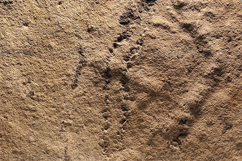 Forskerne omskriver livets historie | illvid.dk