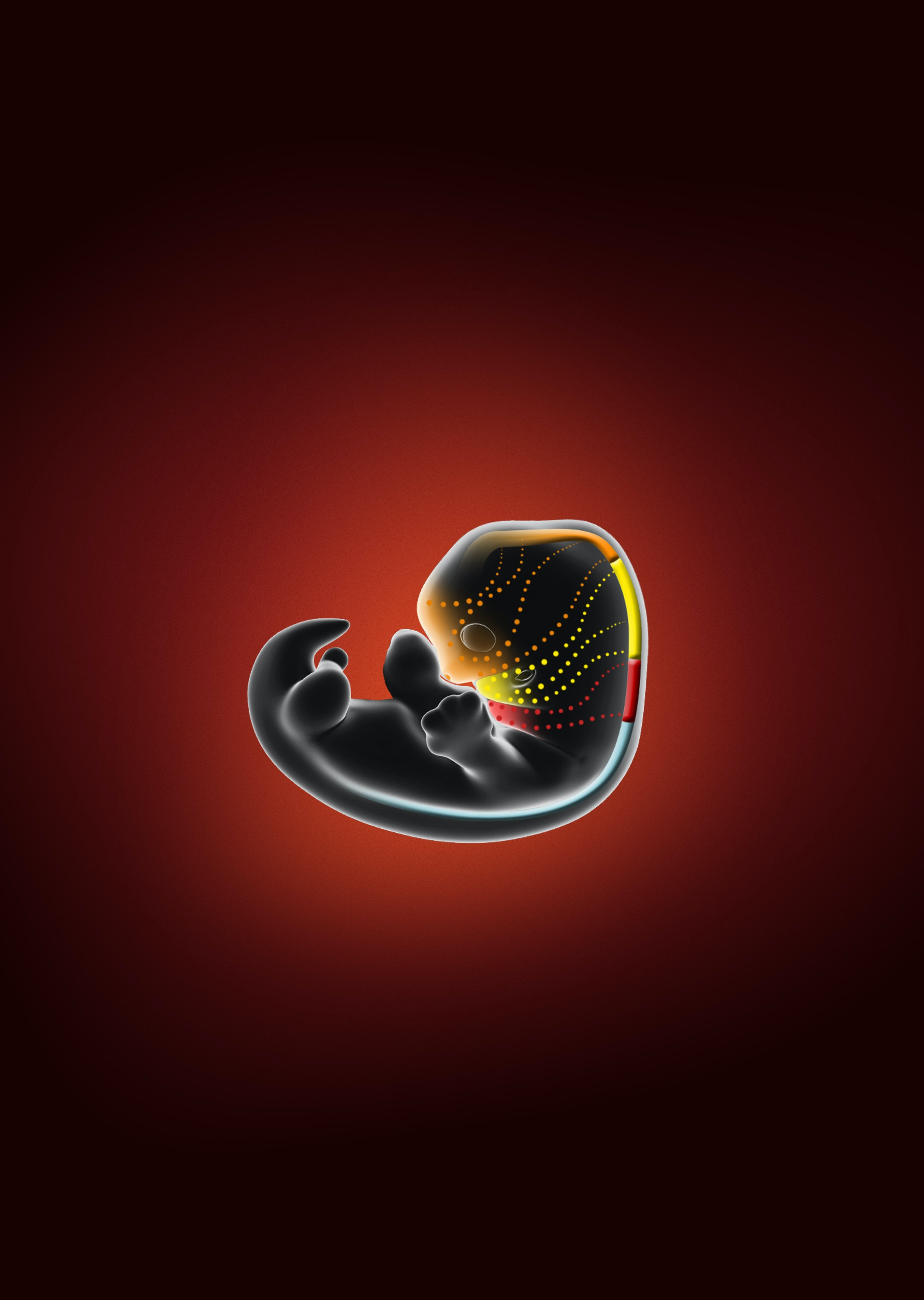 Mutatie geeft je een grote neus | wibnet.nl