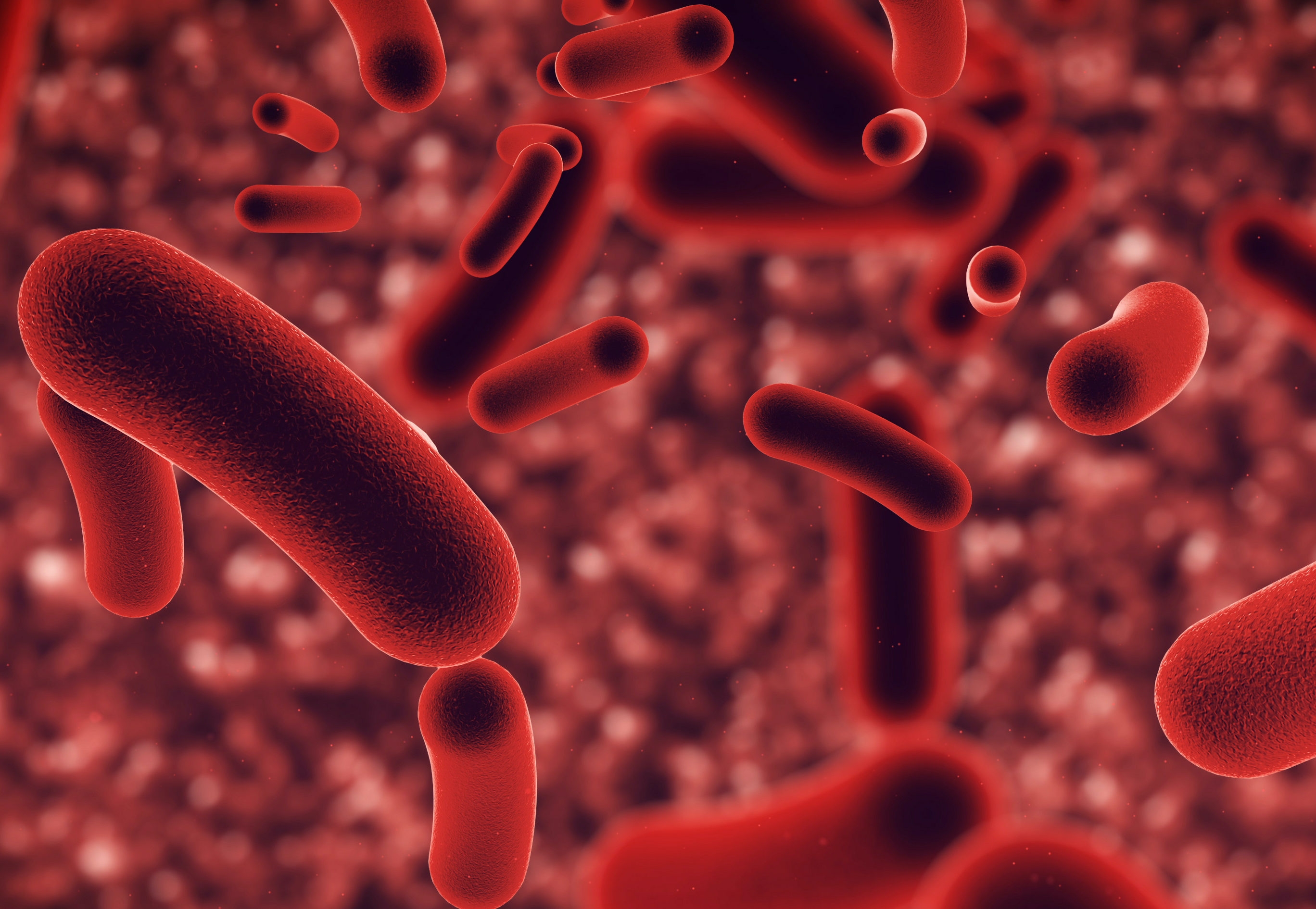 Tarmbakterier avslöjar kroppens ålder | illvet.se