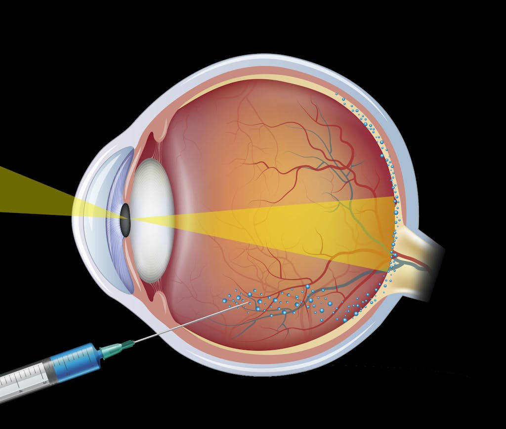Nanopartiklar ger mörkerseende | illvet.se