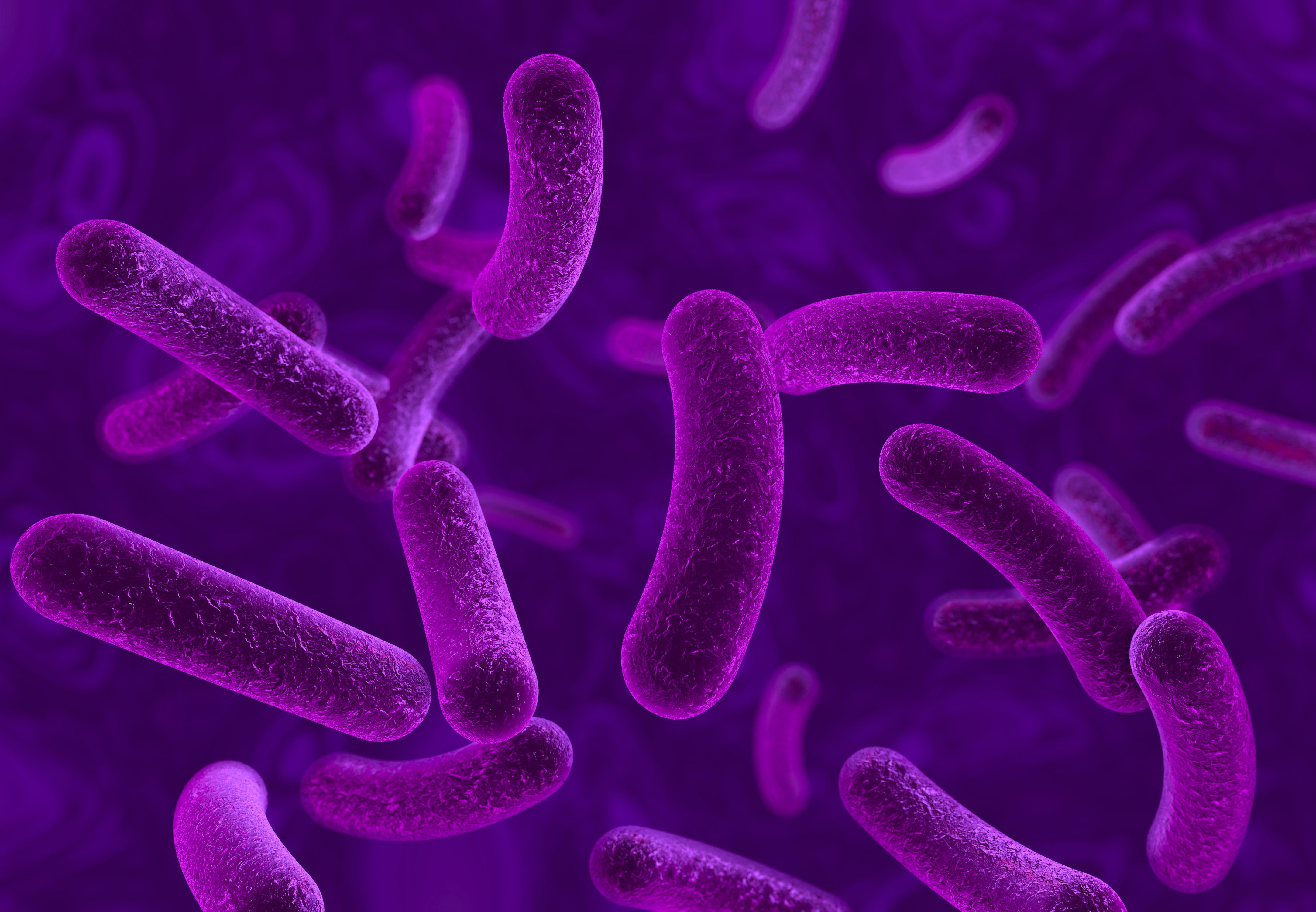 Bacteriën in de hersenen – Microben beïnvloeden je psyche | wibnet.nl