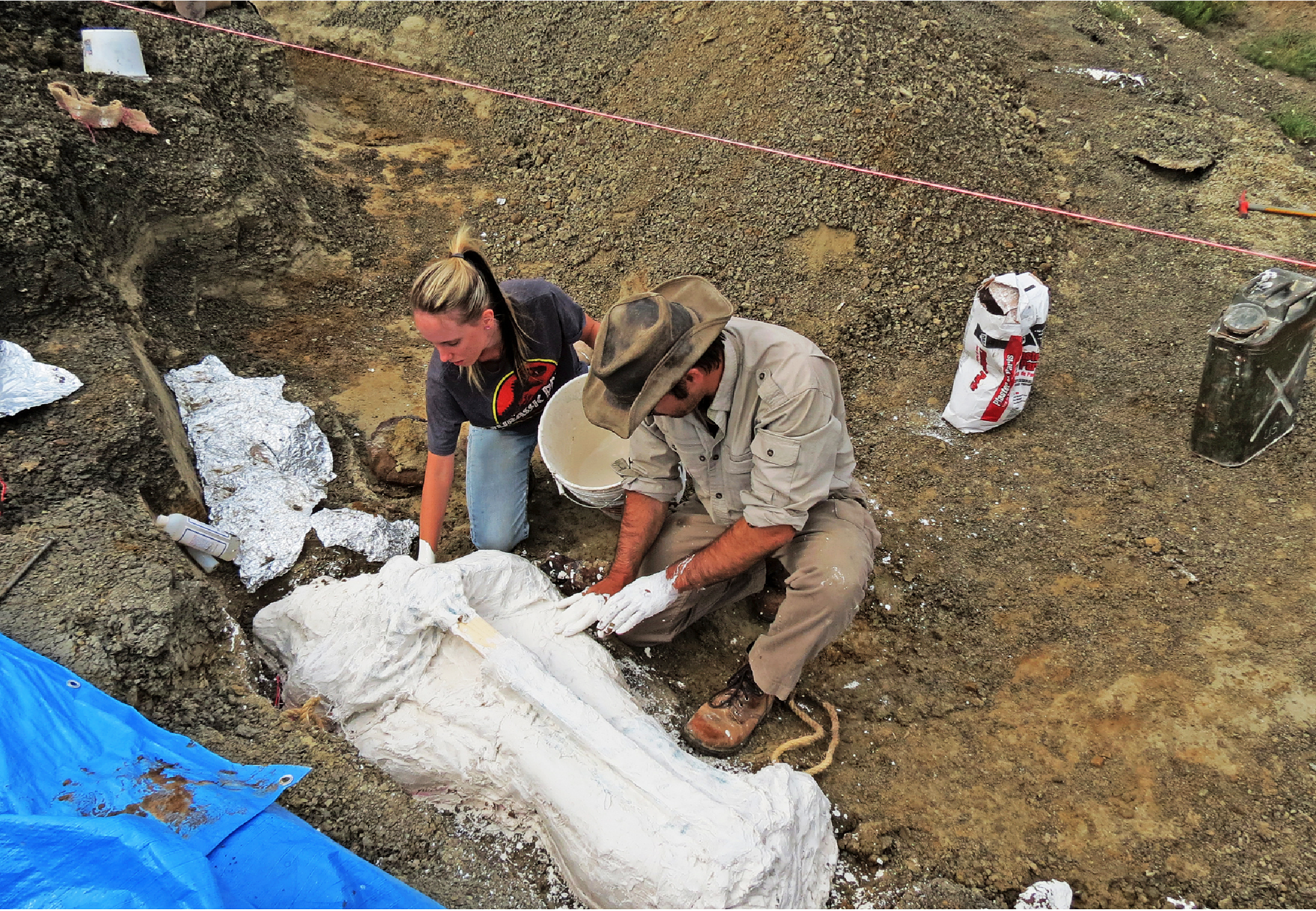 Scientists now know where the dinosaur death asteroid came from ...