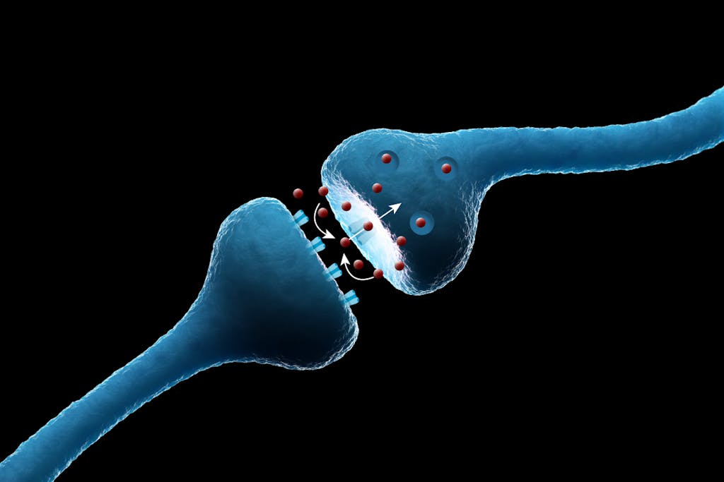 Winter fatigue - how to get through the dark season ...