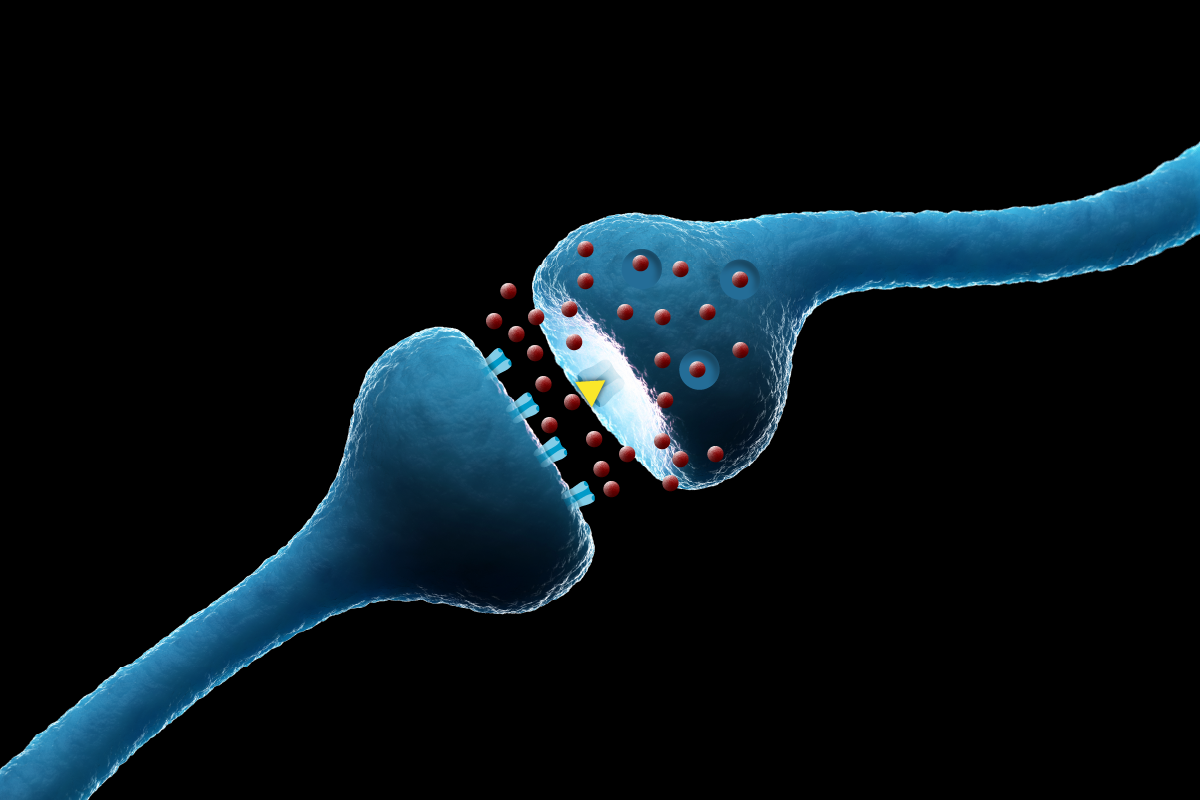 Winter fatigue - how to get through the dark season ...