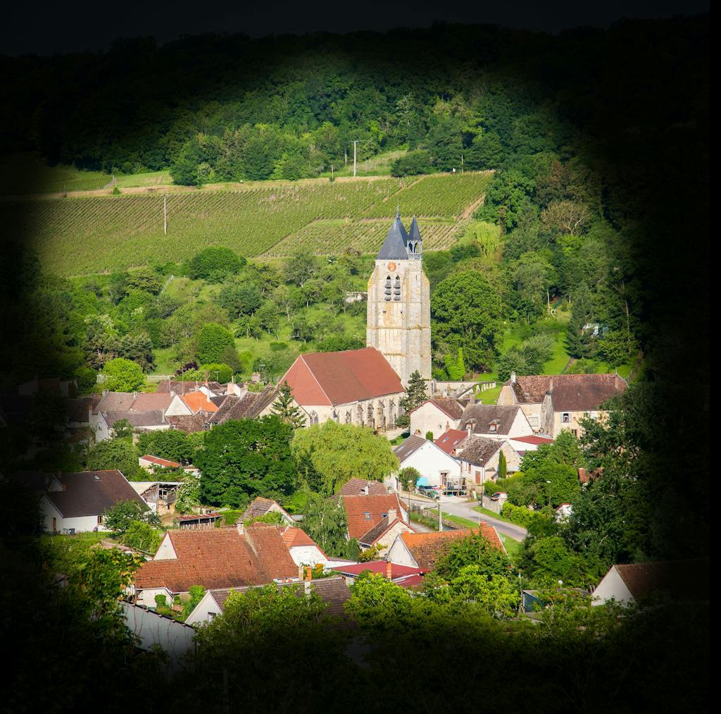 HDL – Het goede cholesterol dat in verband wordt gebracht met groene ...