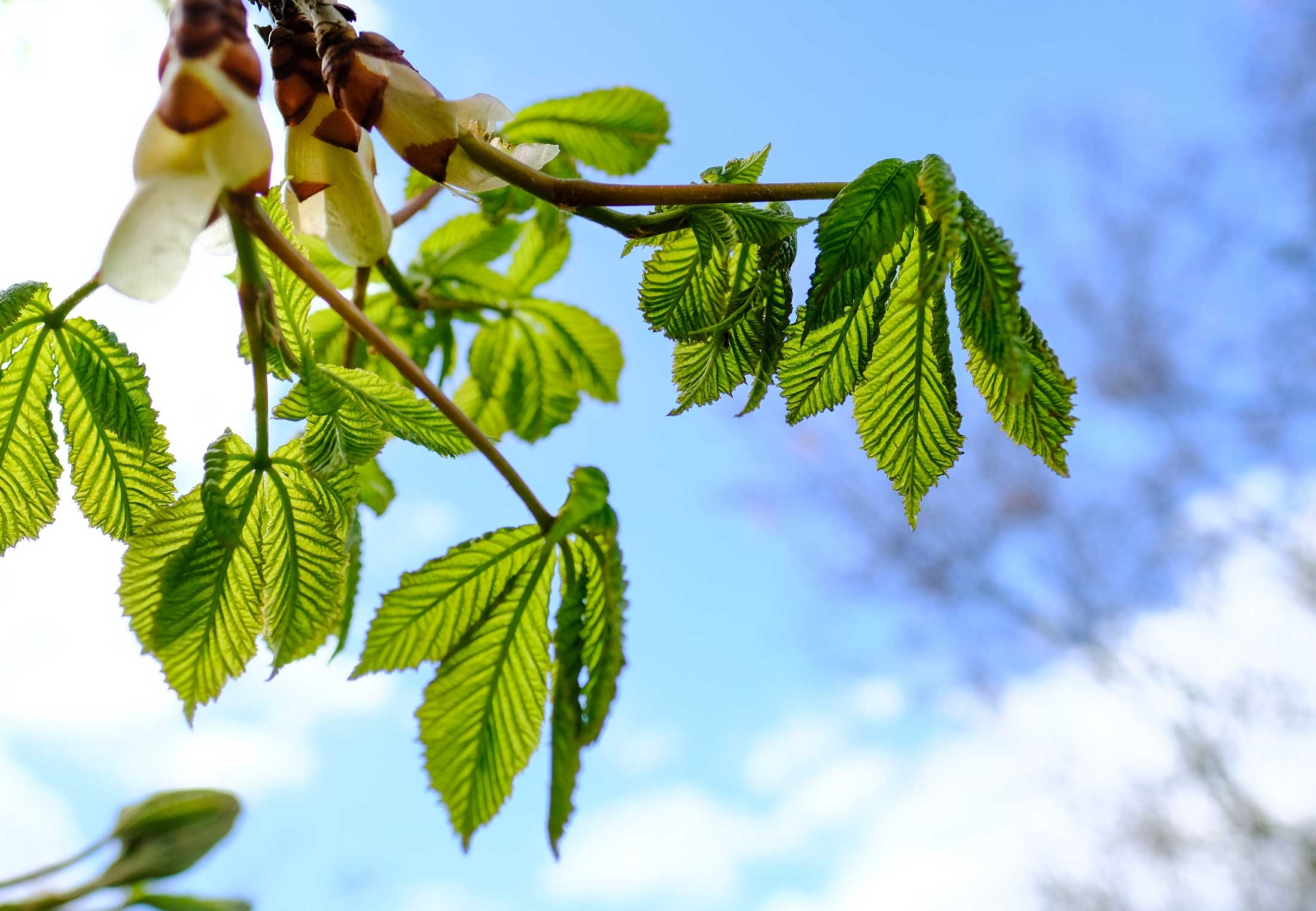 Spring equinox means goodbye to winter | scienceillustrated.com