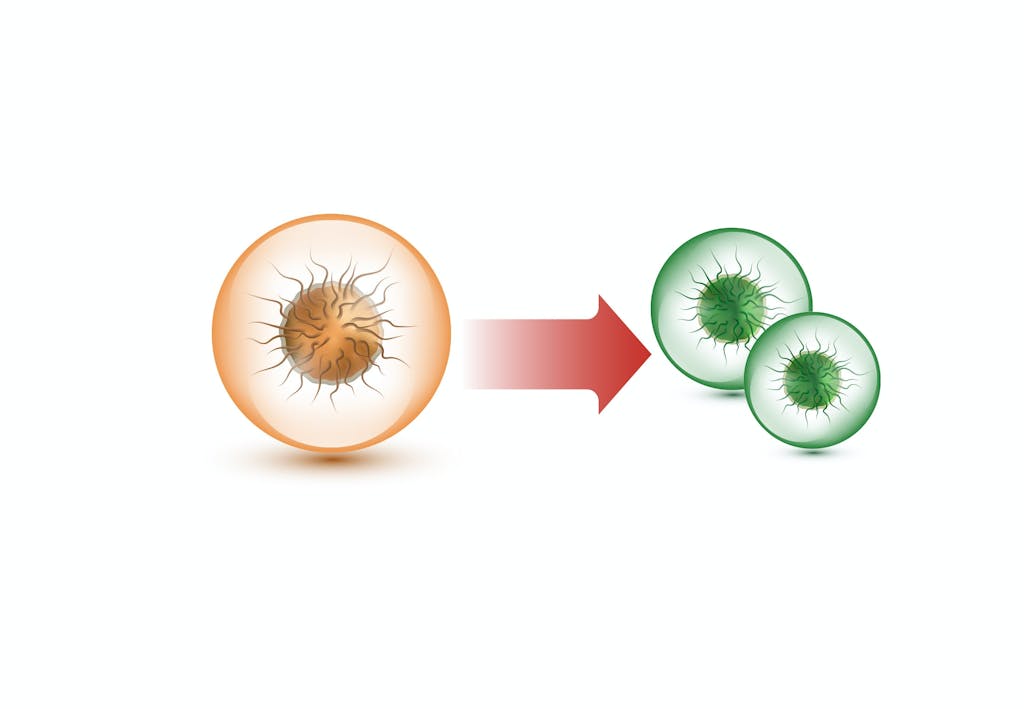 Slik blir koronavirus virkelig farlig | illvit.no