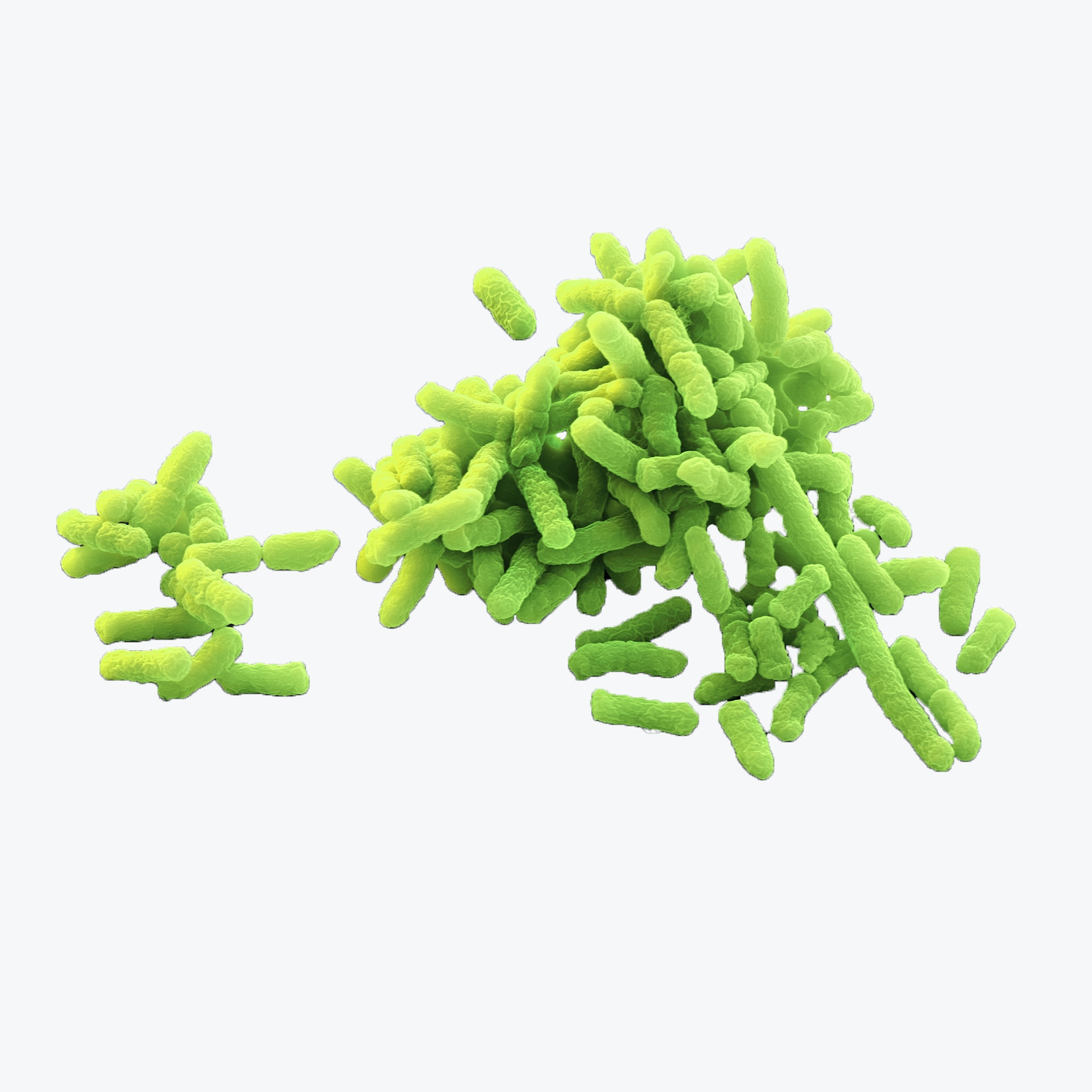 Tarmbakterier produserer for mye alkohol | illvit.no