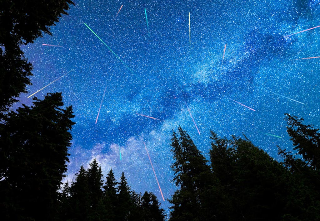 Stjerneskudskalender [januar 2025] | illvid.dk