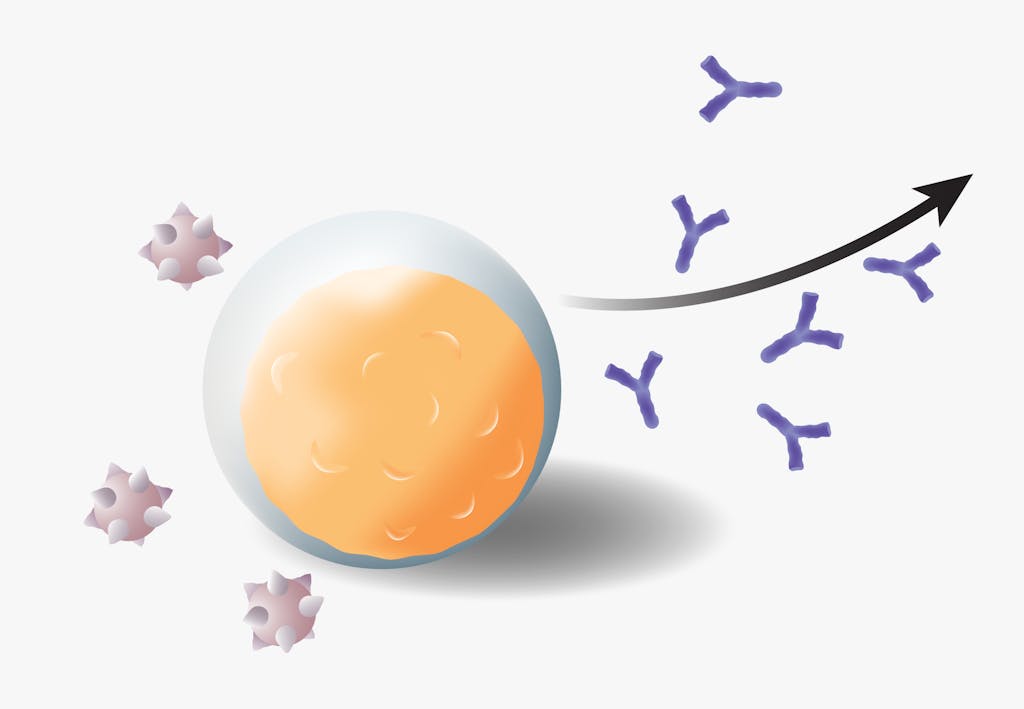 Rising numbers of allergy sufferers may be due to genes and bacteria ...
