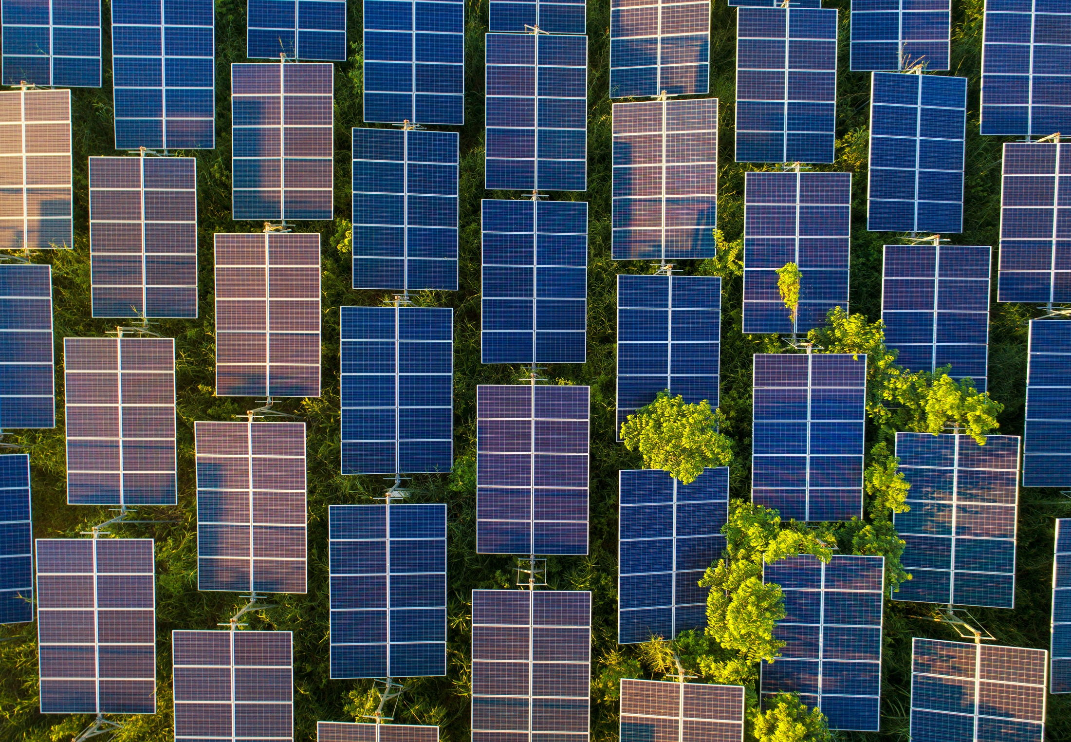 Solceller slår rekord og fordobler deres effektivitet | illvid.dk