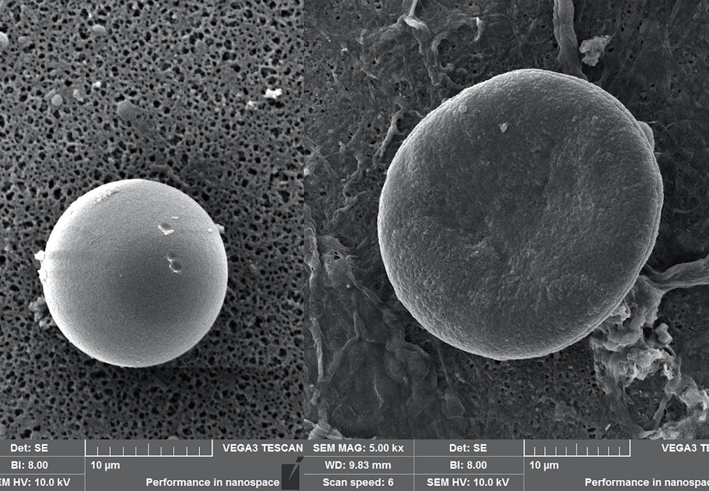 Polyester - hvad er det? | illvid.dk