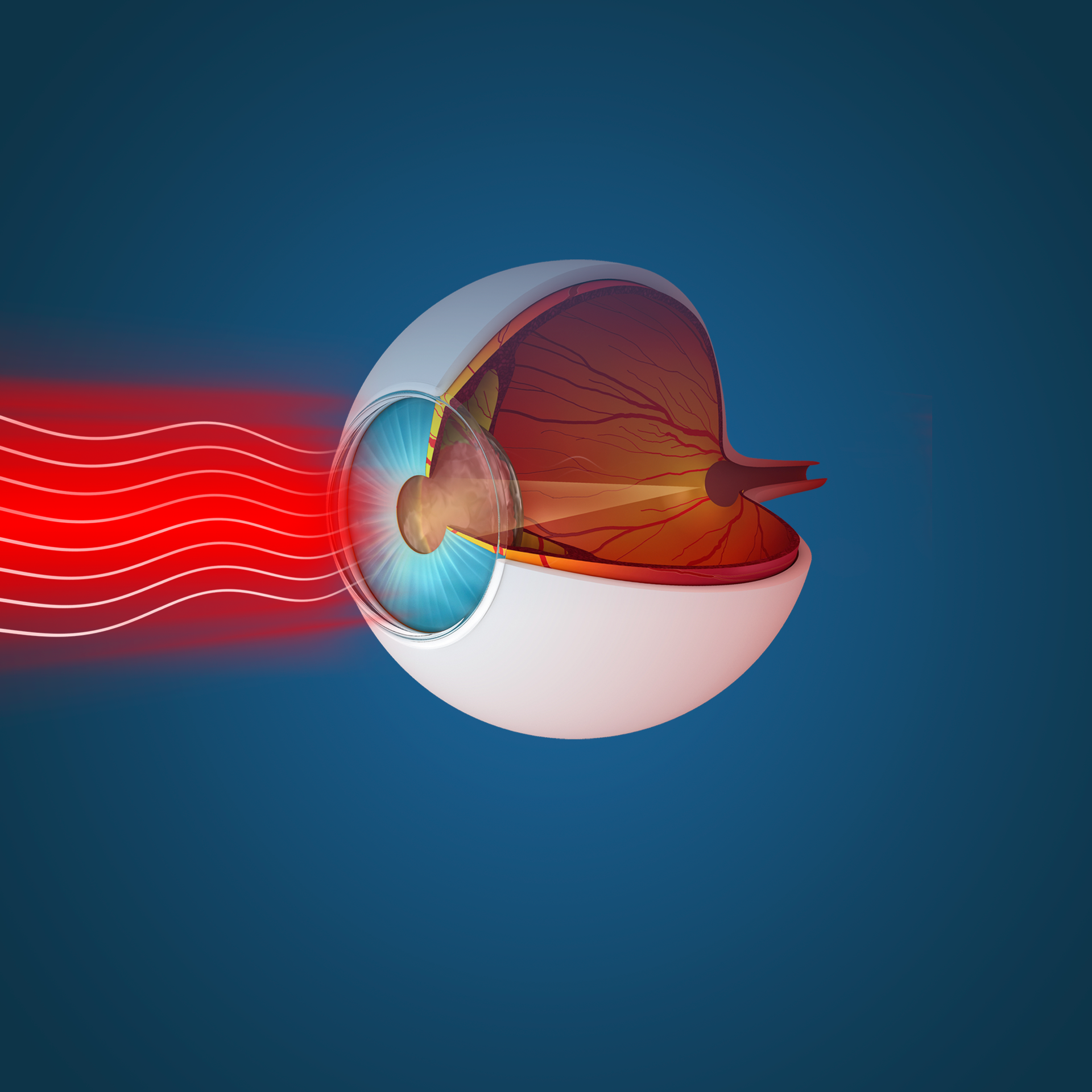 Rött ljus kan göra din syn yngre | illvet.se