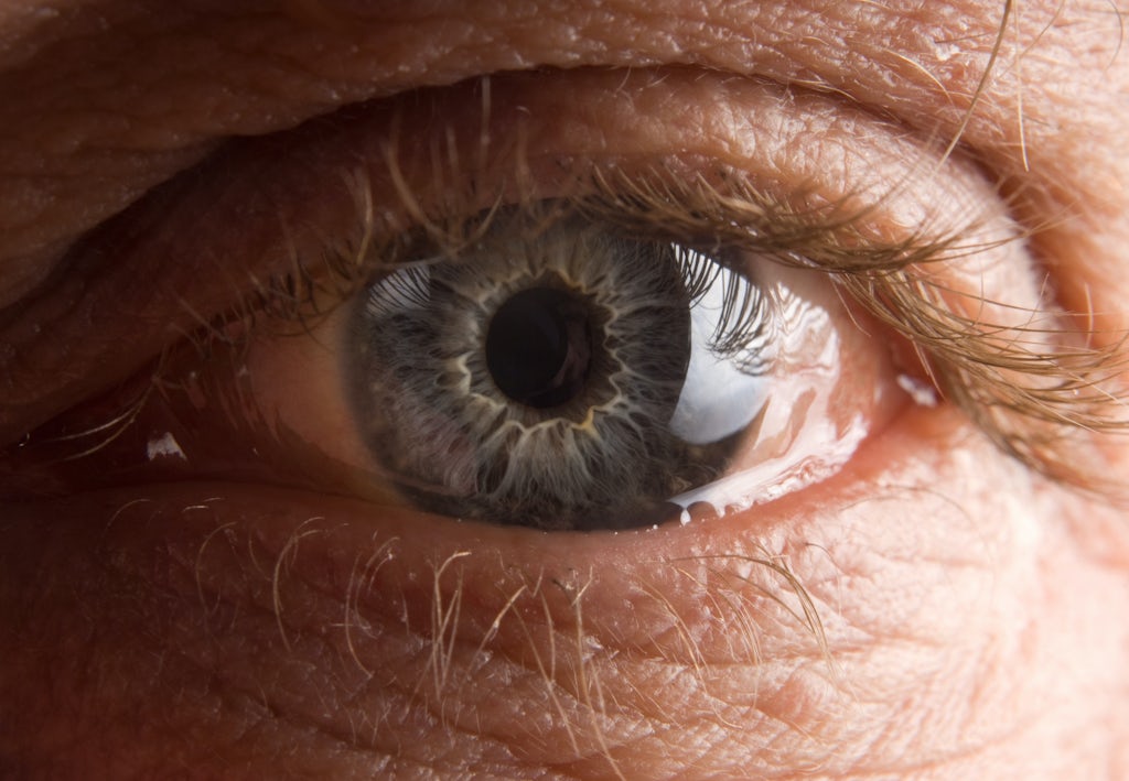 Åldrande | illvet.se