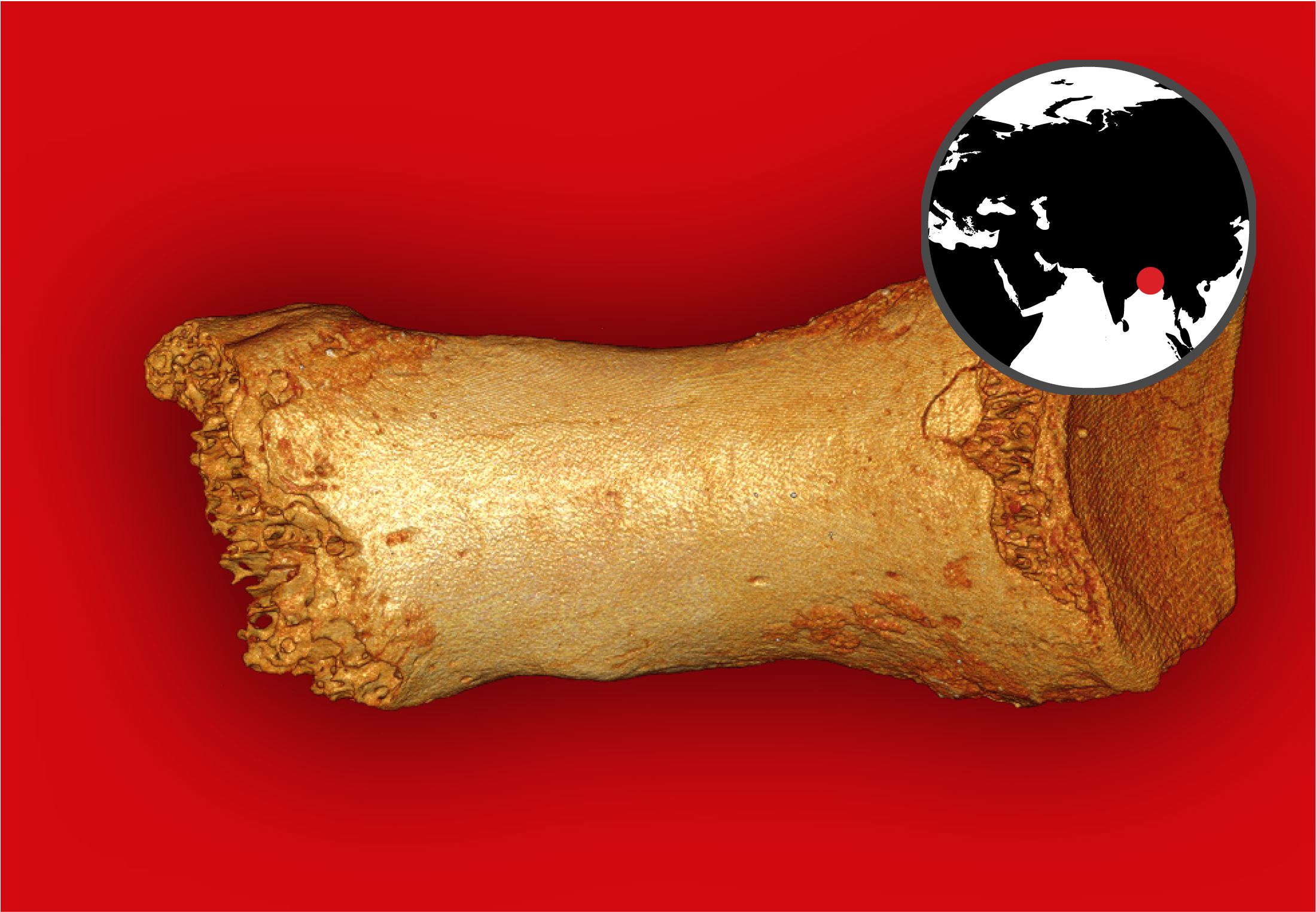 Forskere: Du er et produkt av innavl | illvit.no