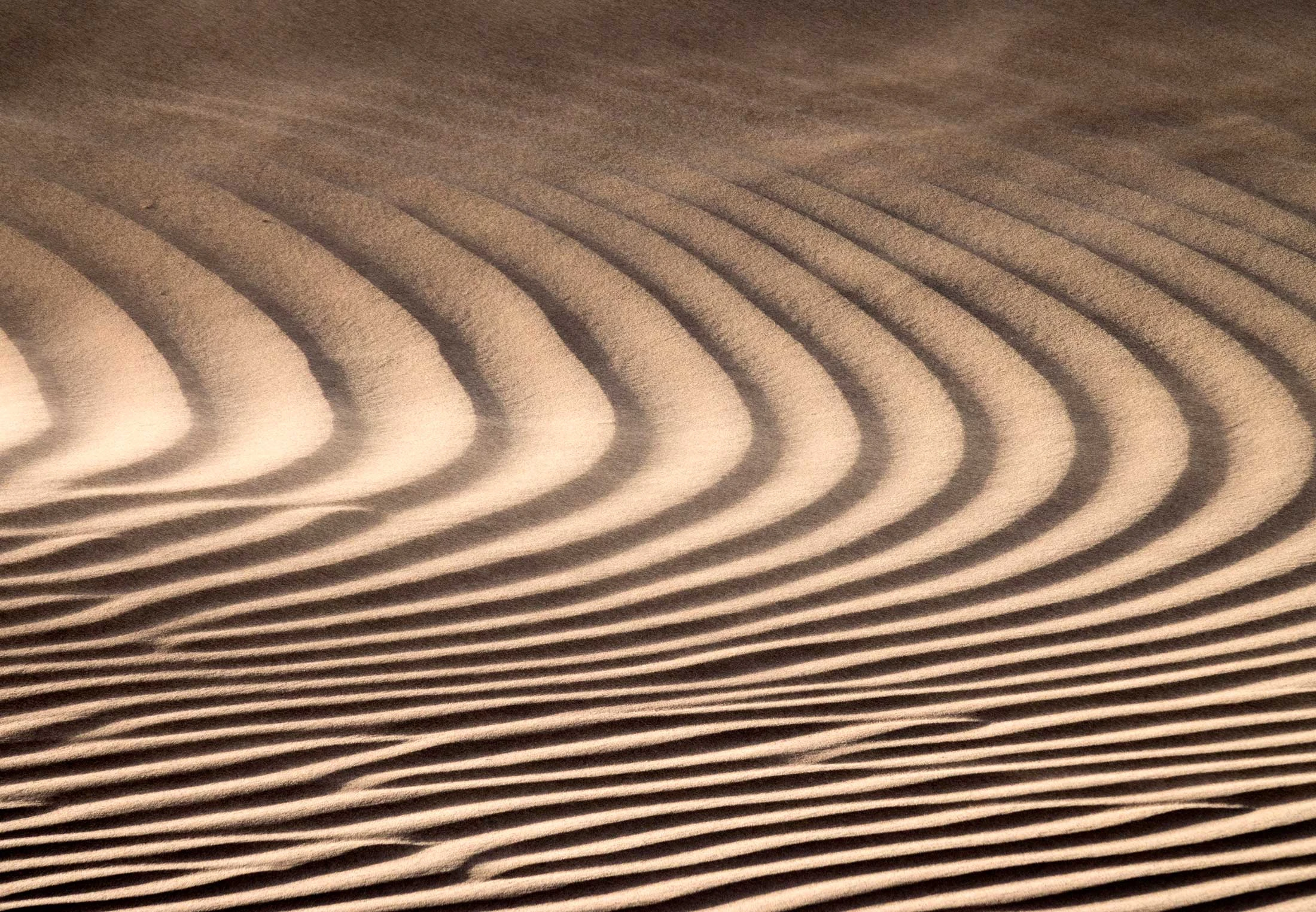 Wat zit er onder het zand van de Sahara? | wibnet.nl