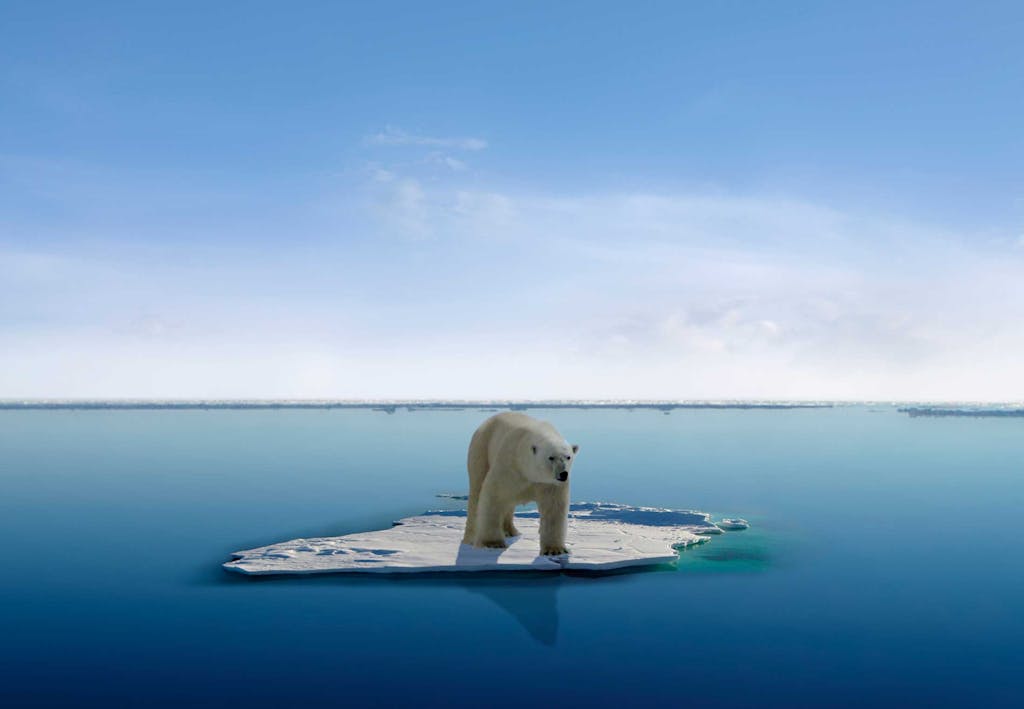 Opwarming van de aarde - wat is het? | wibnet.nl