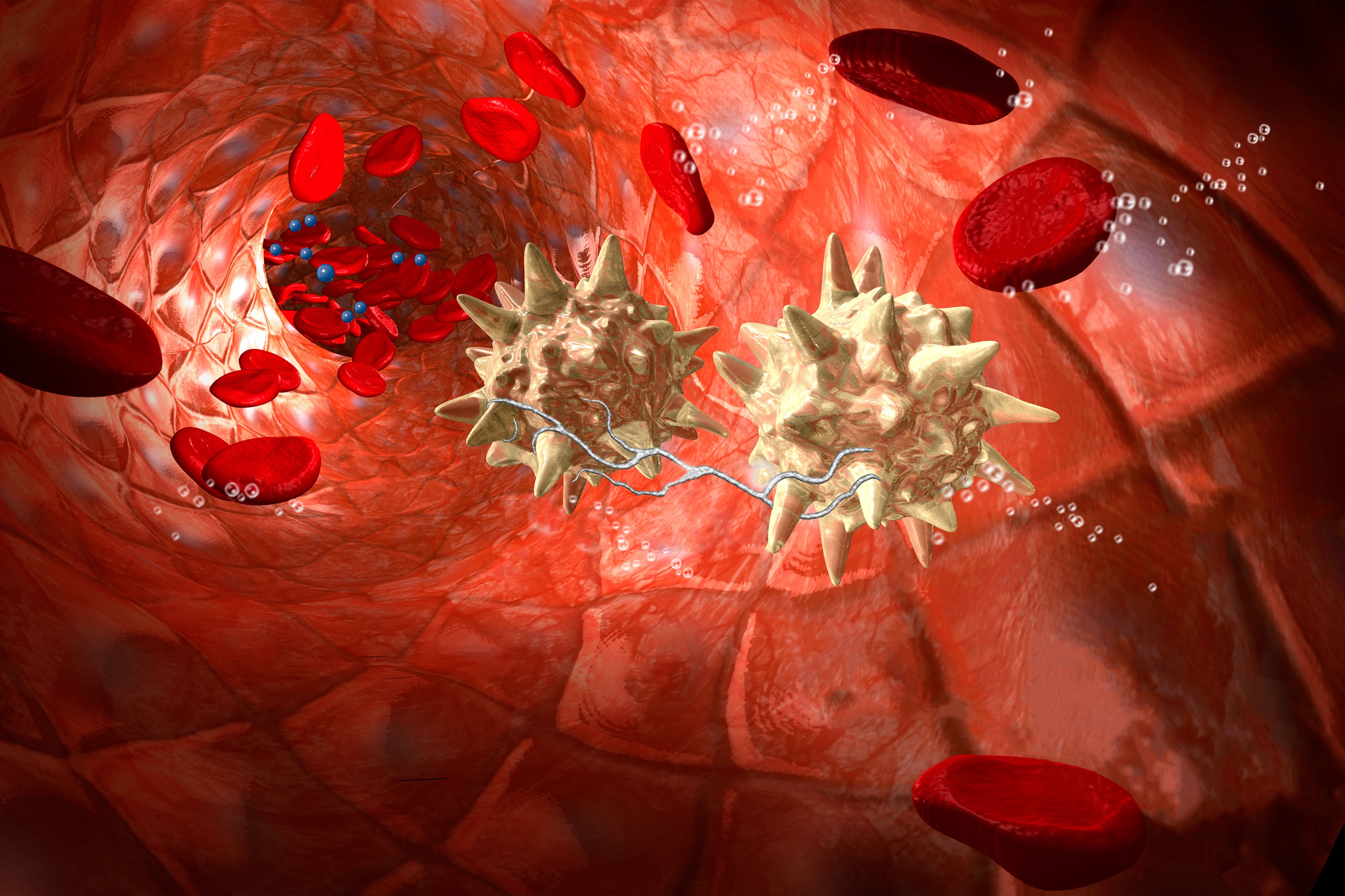 5 maailman vaarallisinta myrkkykäärmettä | tieku.fi