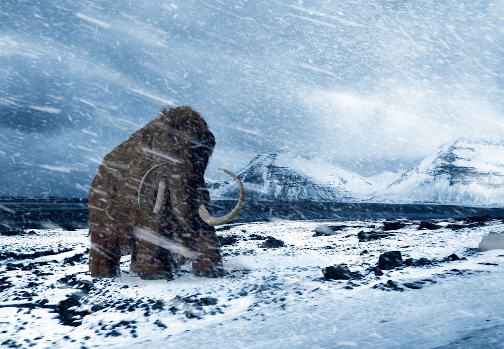 30 000 vuotta vanha vauvamammutti löytyi ikiroudasta | tieku.fi