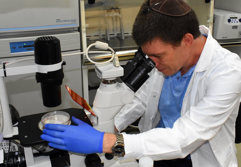 Bakteerit ovat uusi syöpälääke | tieku.fi