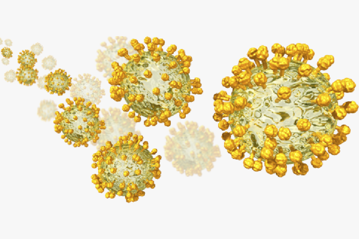 Helt nytt virus kan lure immunsystemet | illvit.no