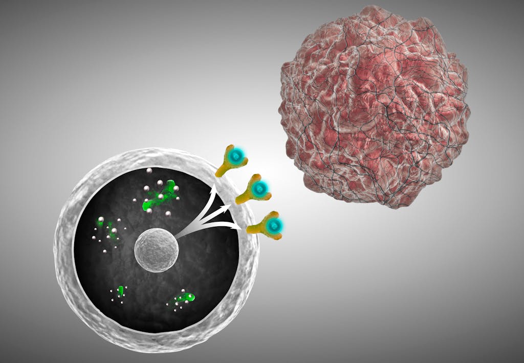 Bakteerit ovat uusi syöpälääke | tieku.fi