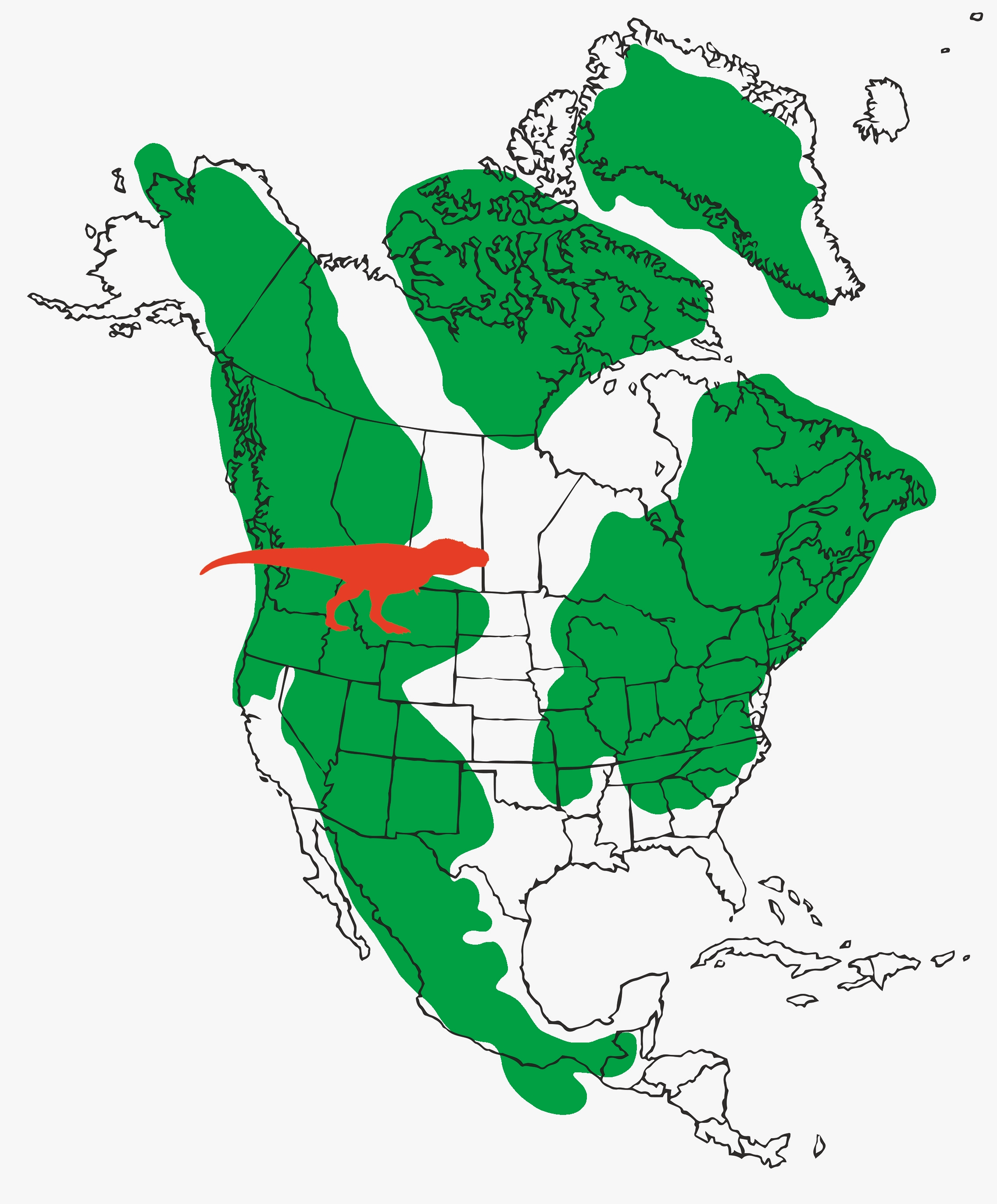 Extensive T. rex study: the king of dinosaurs had a completely ...