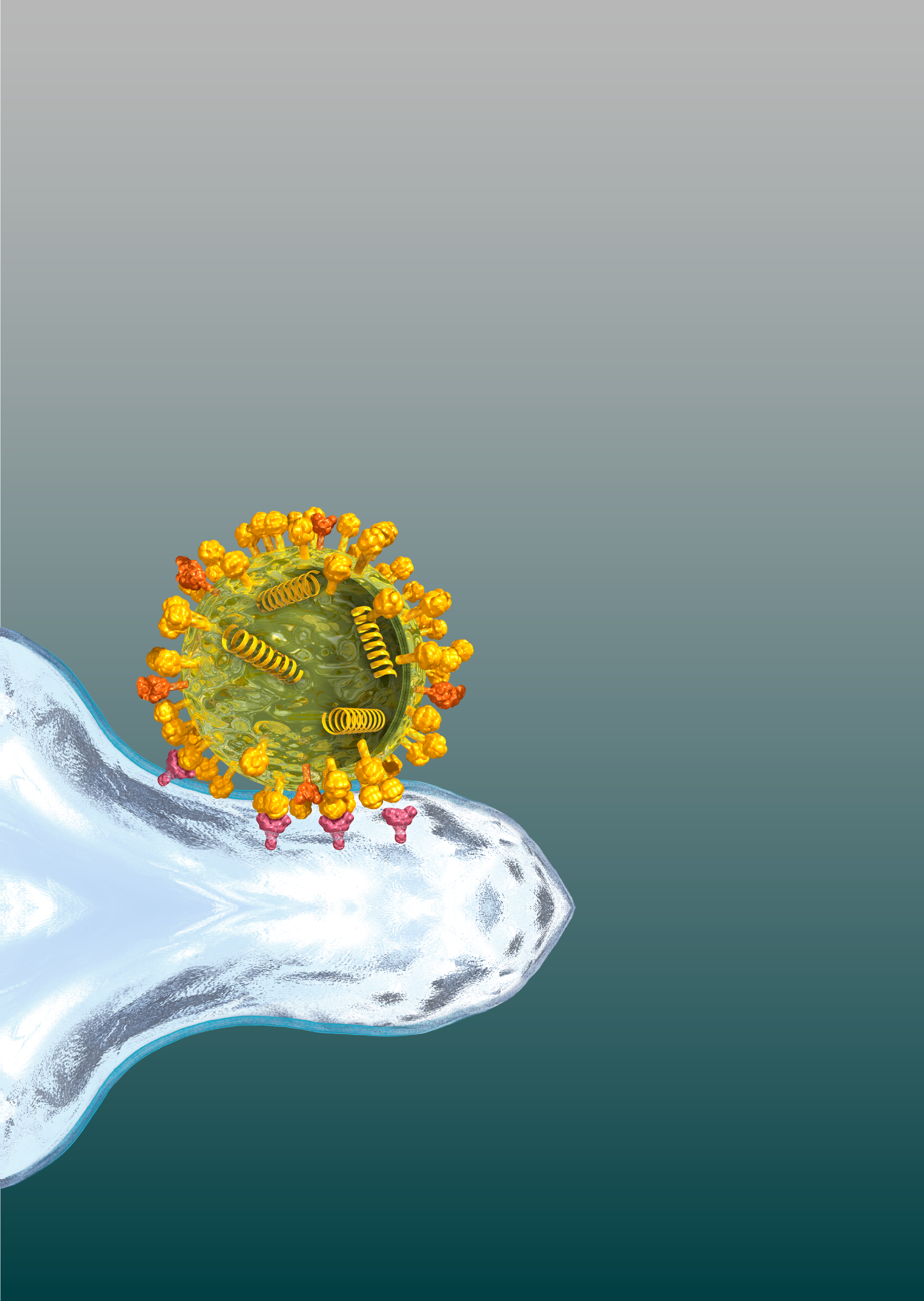 Influensa 2021 - Les om vaksine og symptomer her | illvit.no