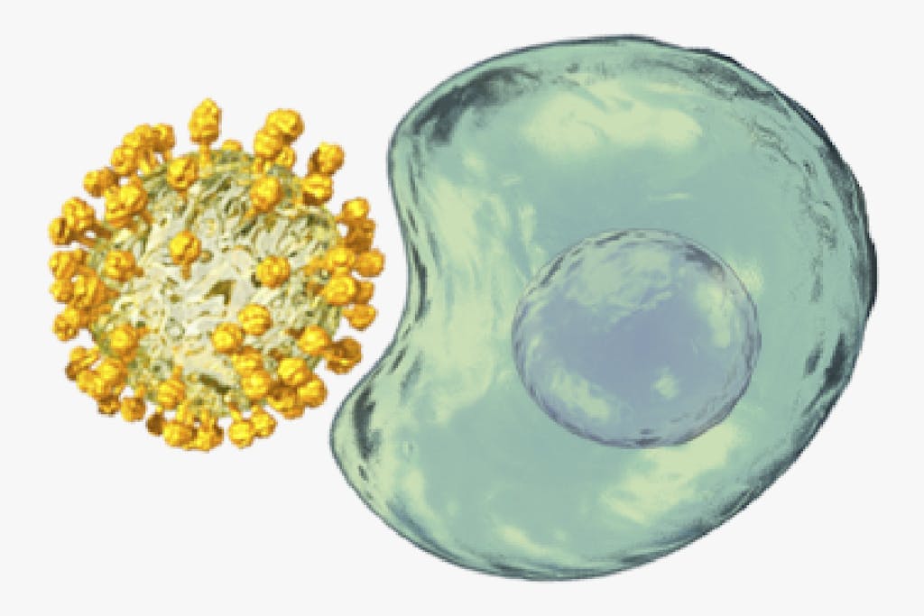 Griep 2021 – Lees hier over symptomen en het vaccin | wibnet.nl