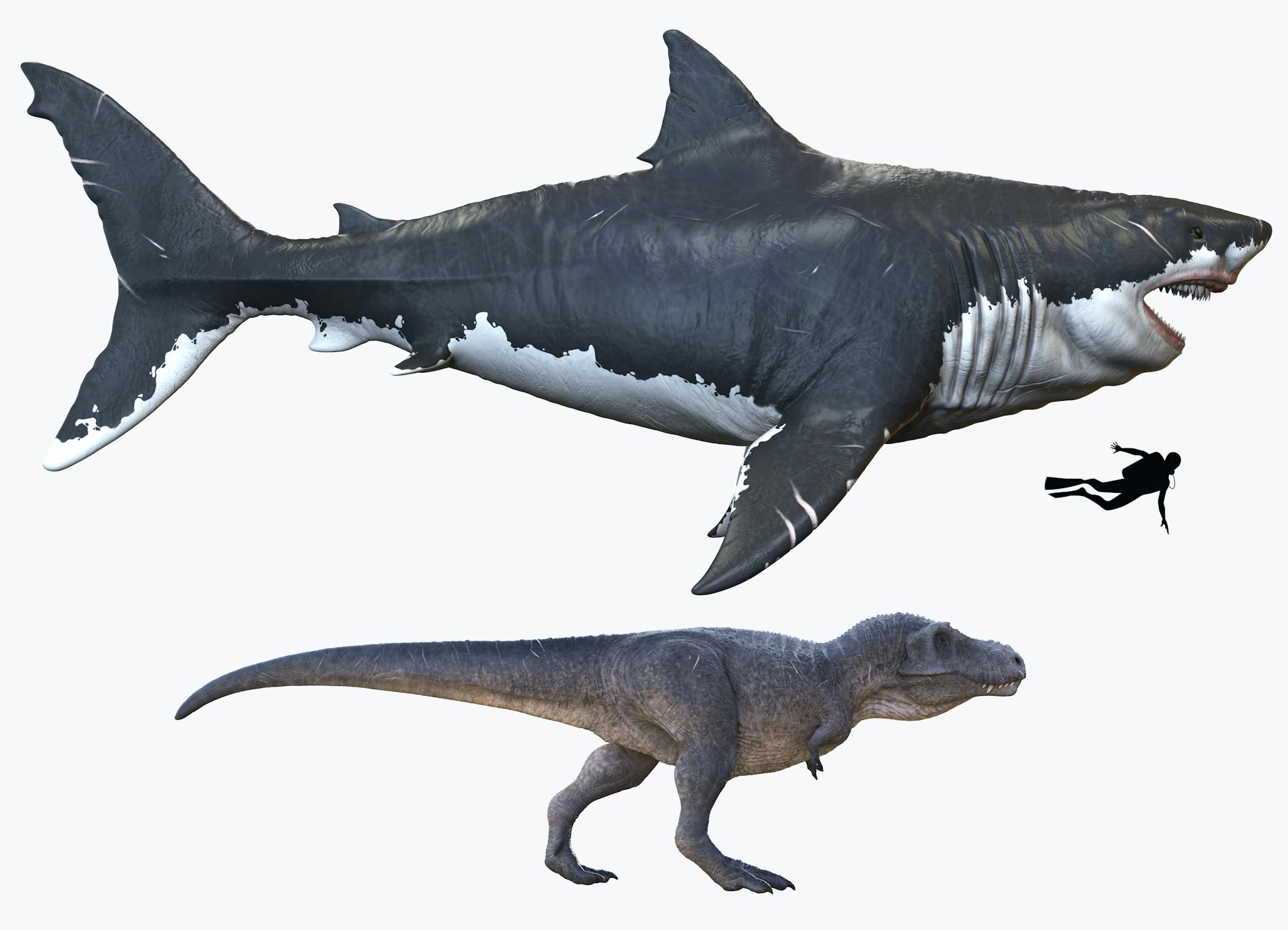 T. rex – tapaa maailman suurin petodinosaurus | tieku.fi