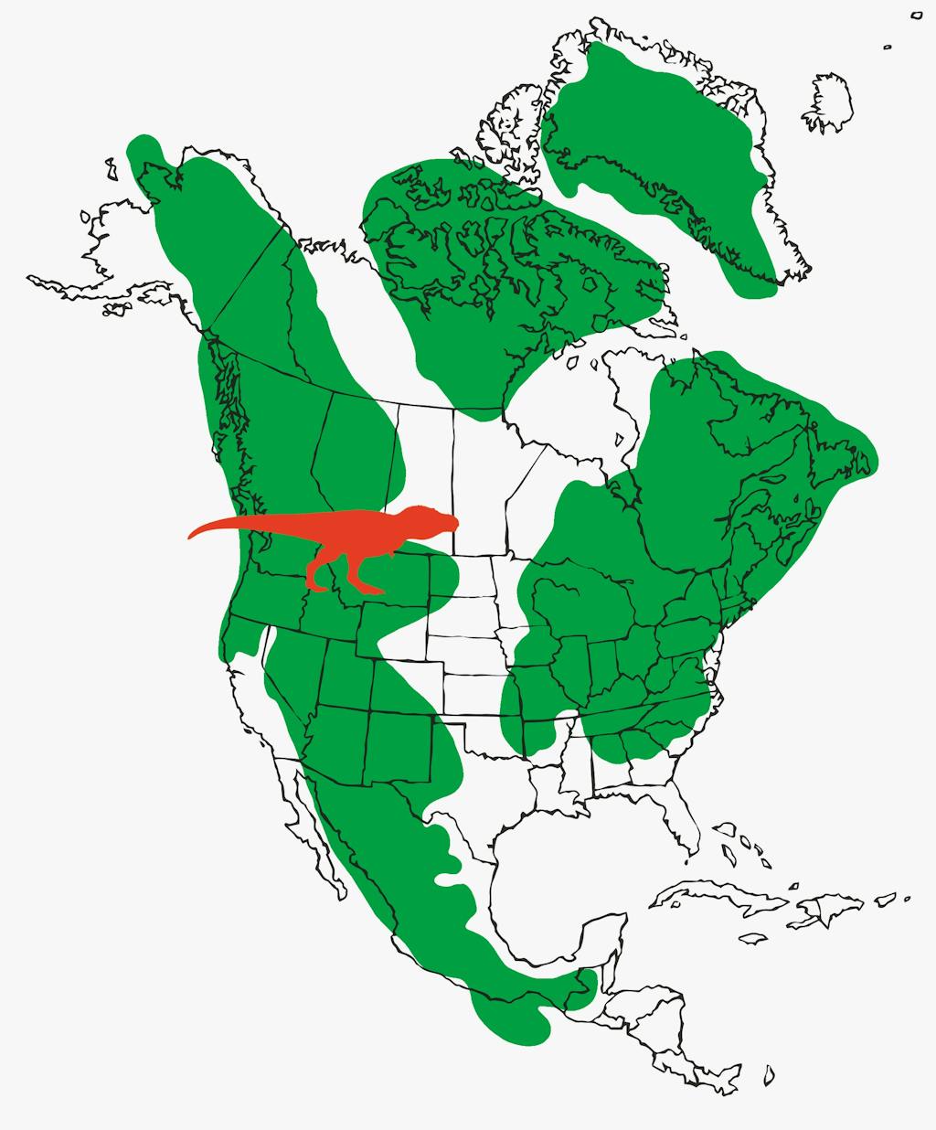 T. rex – tapaa maailman suurin petodinosaurus | tieku.fi