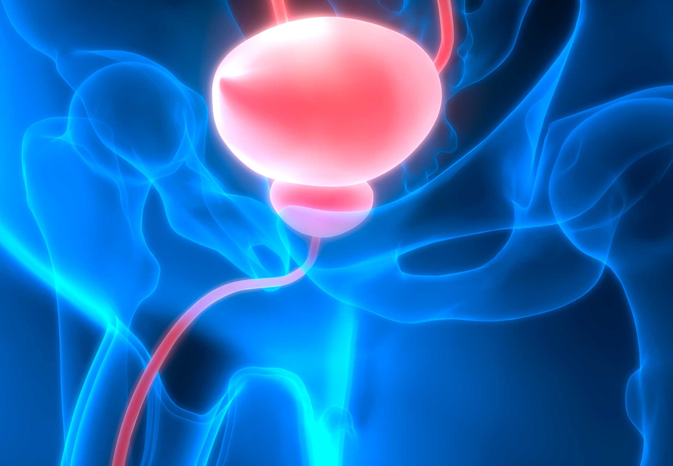 Kan je blaas springen als je je plas ophoudt? | wibnet.nl