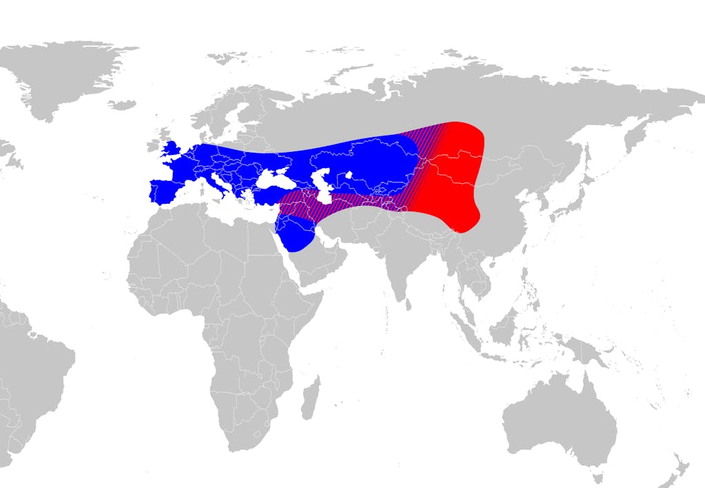 Denisova - Mød denisova-mennesket her | illvid.dk