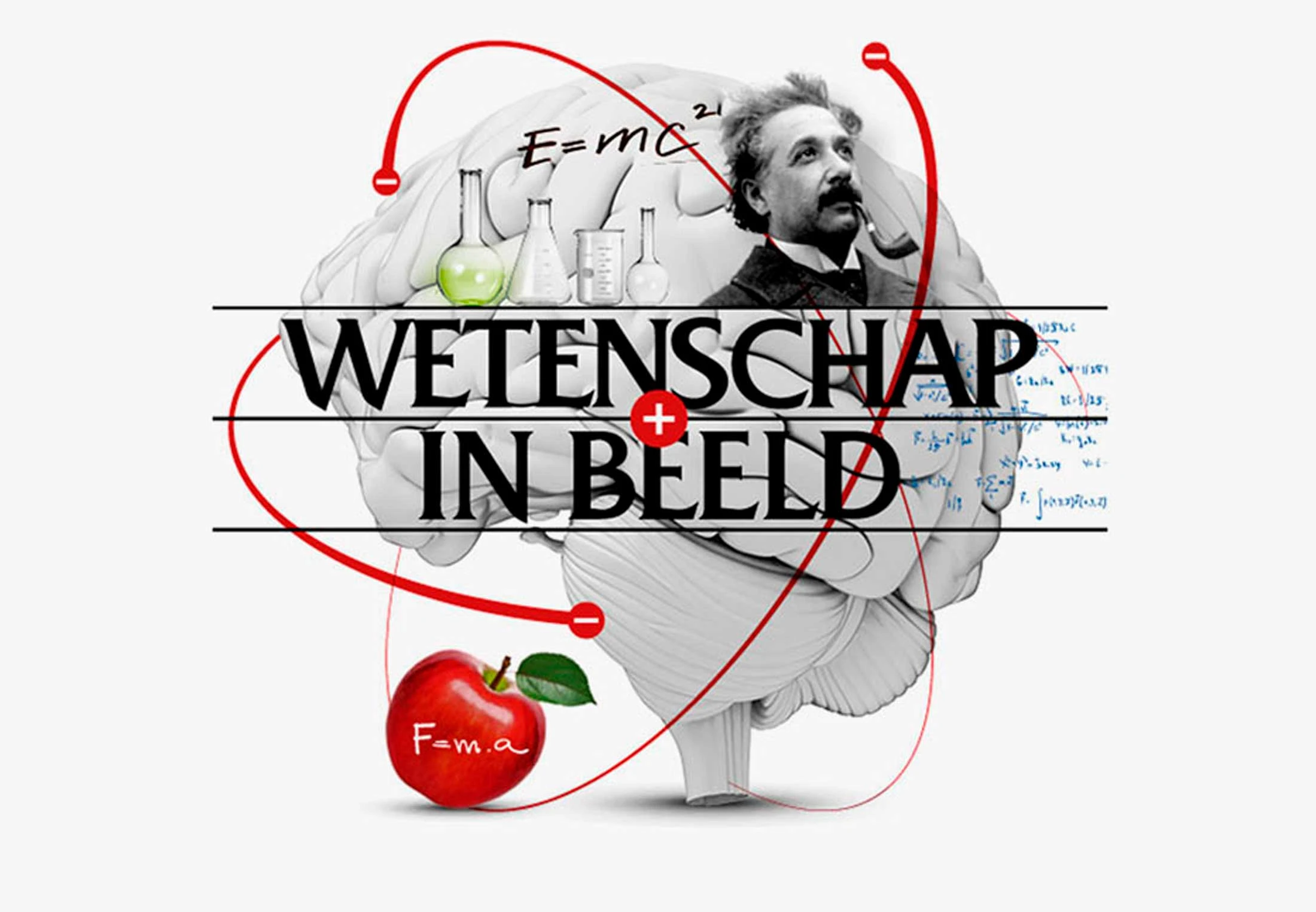 Wat is IQ? | wibnet.nl