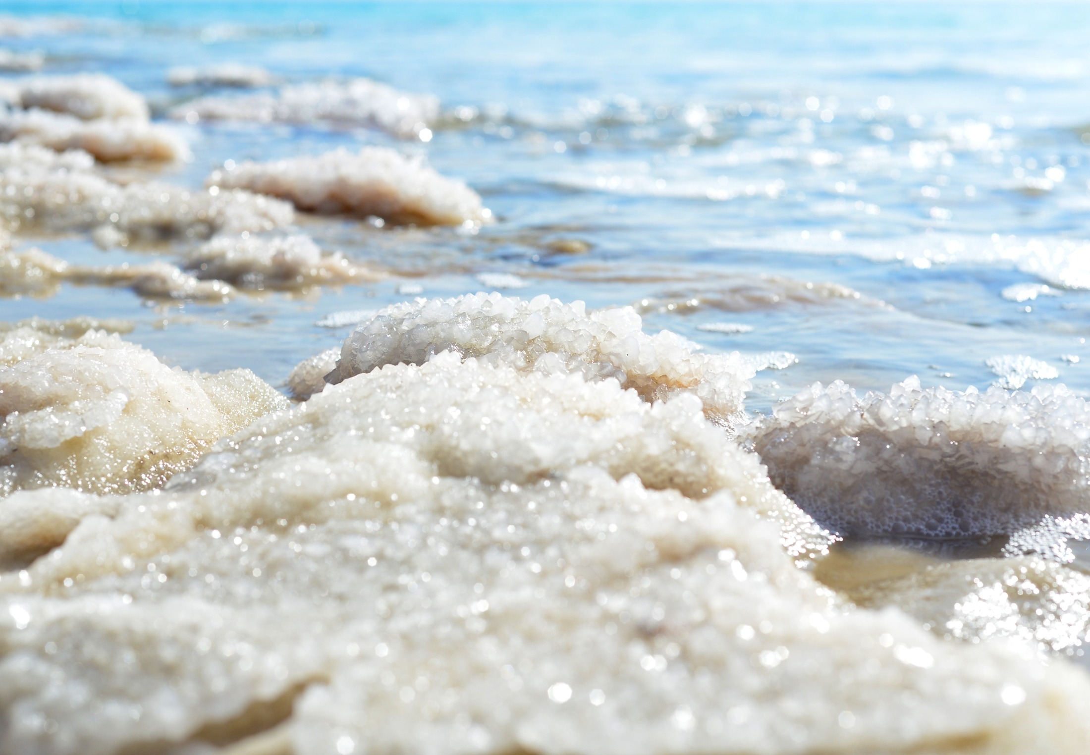 Havet | illvid.dk