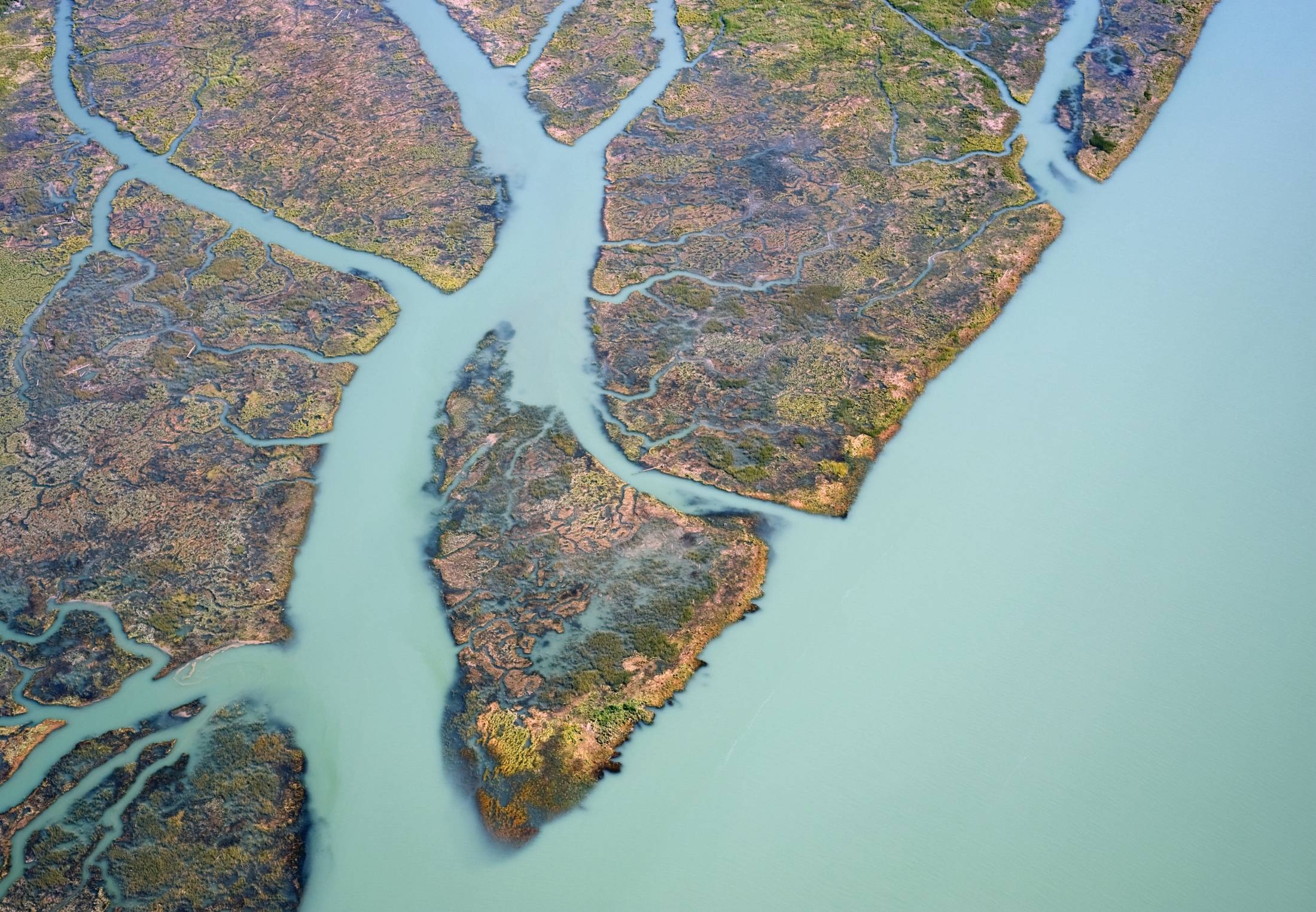 Hvordan oppstår et delta? | illvit.no