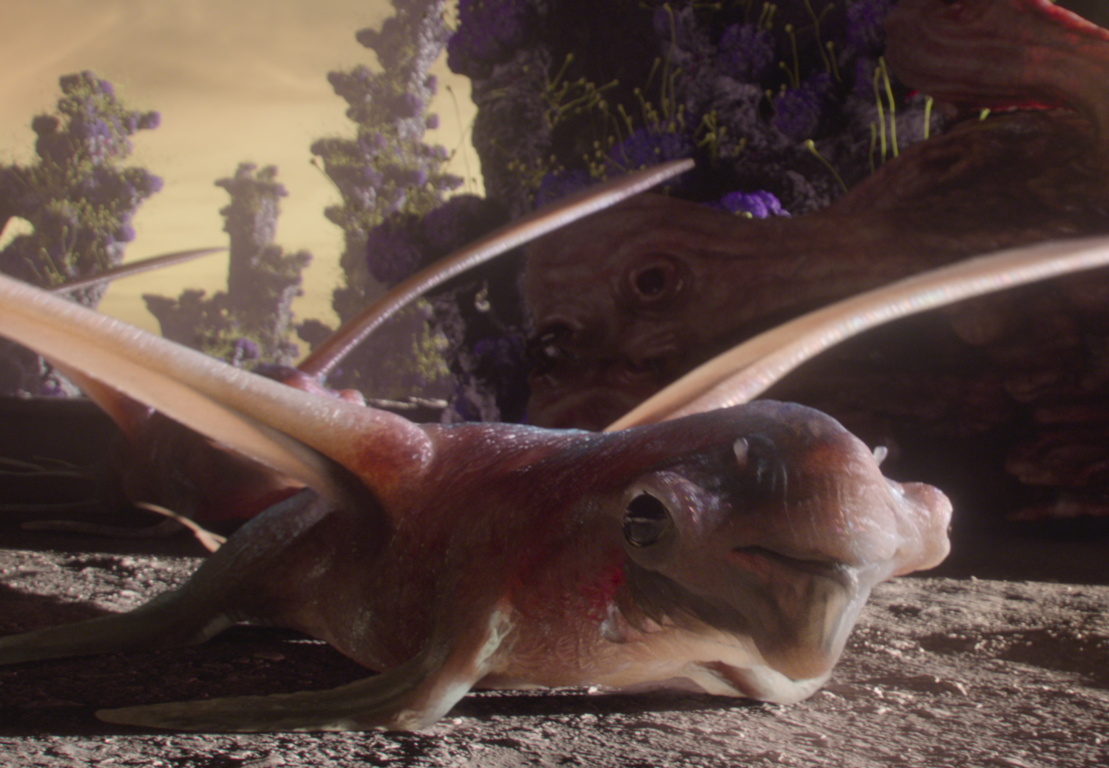 24 alien planets could include life | scienceillustrated.com