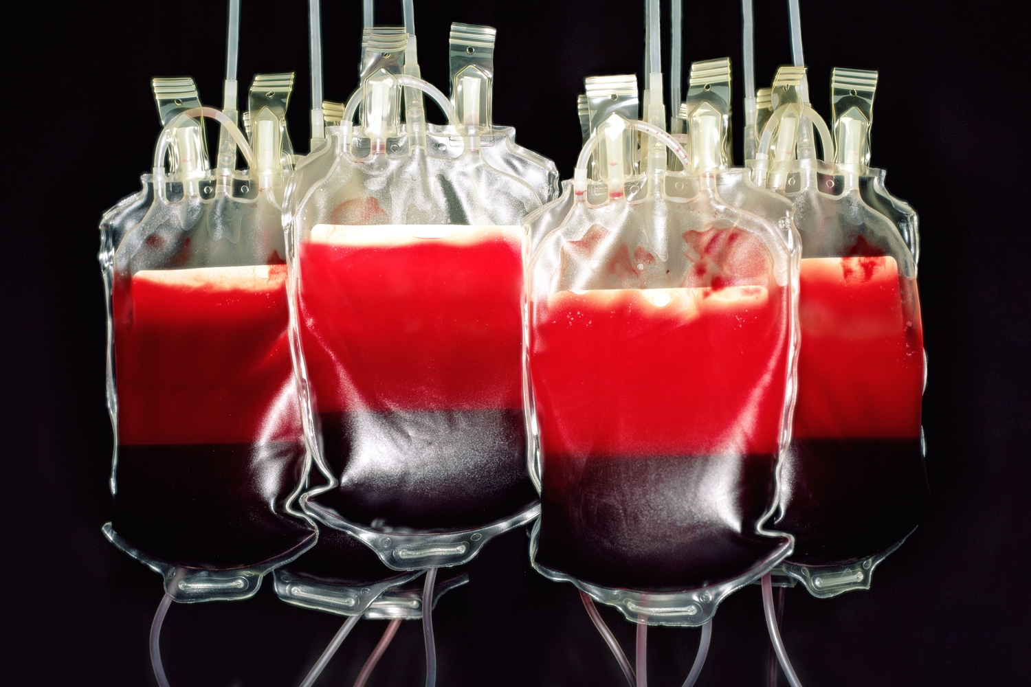 Blodtyperne og deres egenskaber | illvid.dk