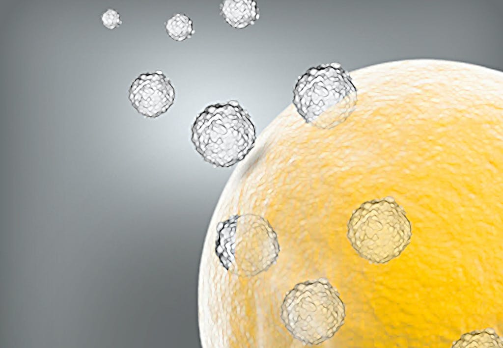 Er thallium dødelig? | illvit.no