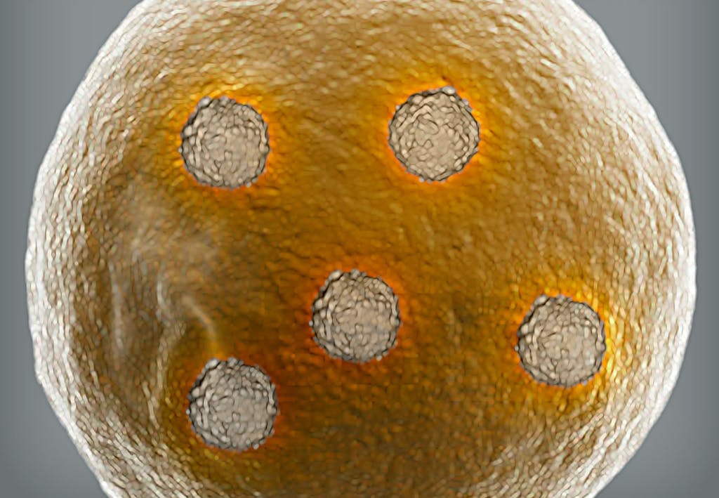 Er thallium dødelig? | illvit.no