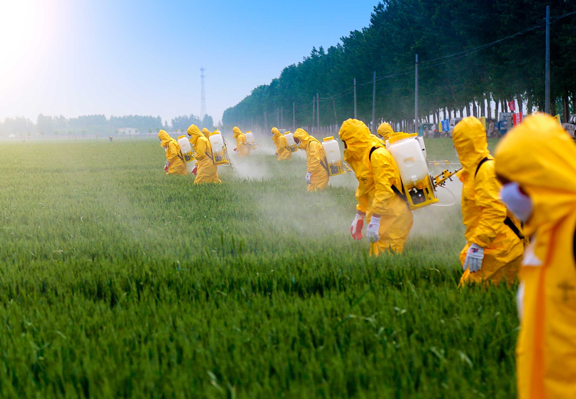 Hoe werkt insecticide? | wibnet.nl