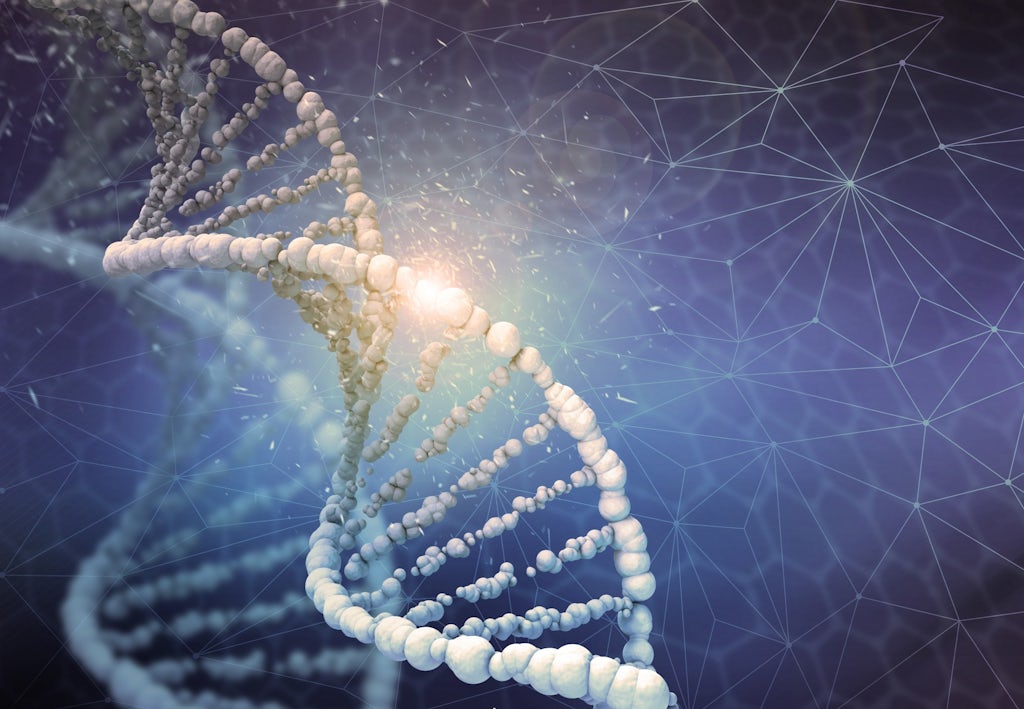 Explainer: Hva er DNA? | illvit.no